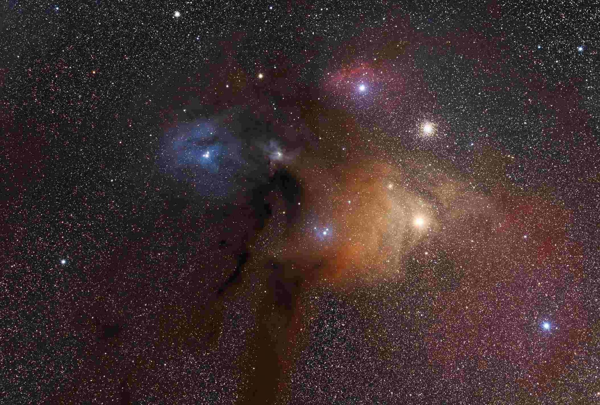 Cosmic craze: meet our region’s amateur astronomers