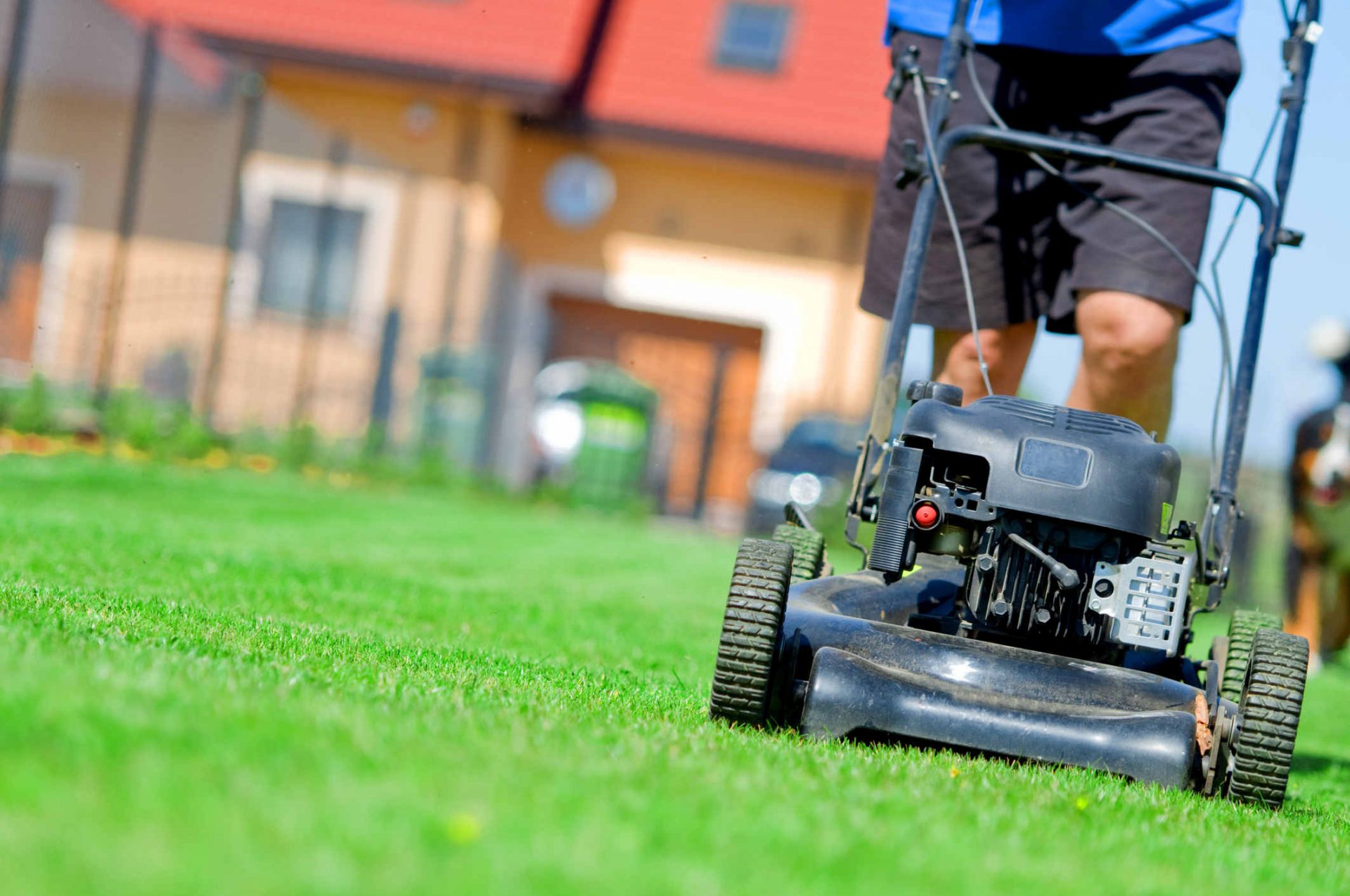 A cut above the rest: Coast man aims to mow down record
