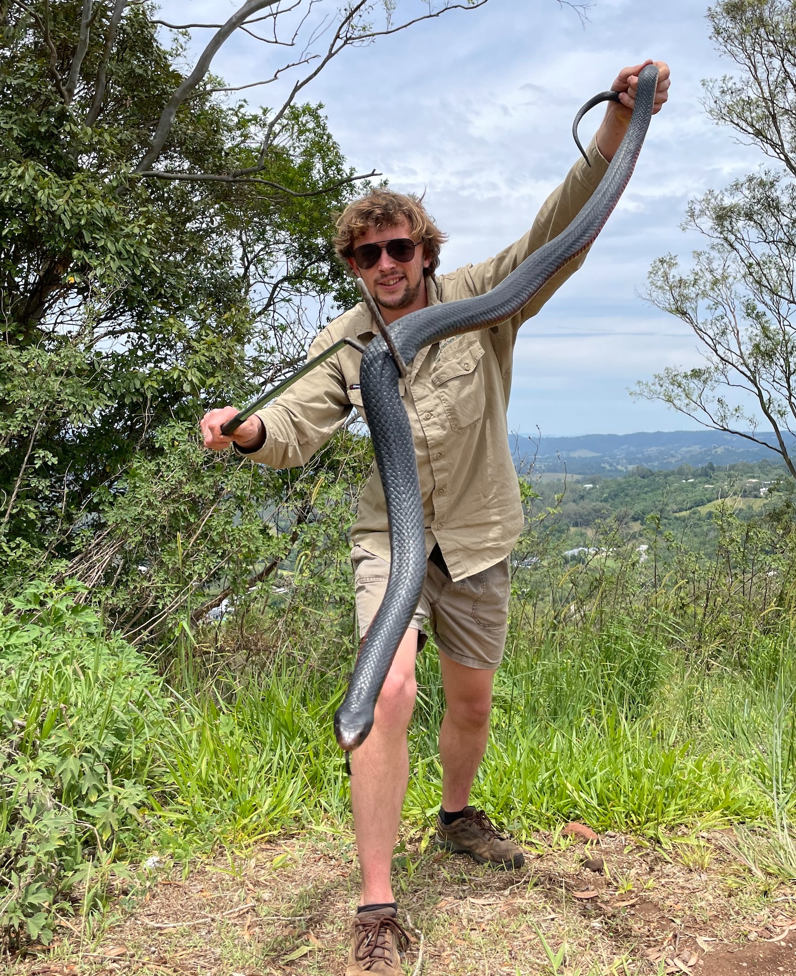 Snake catcher tells of monster encounters in the region