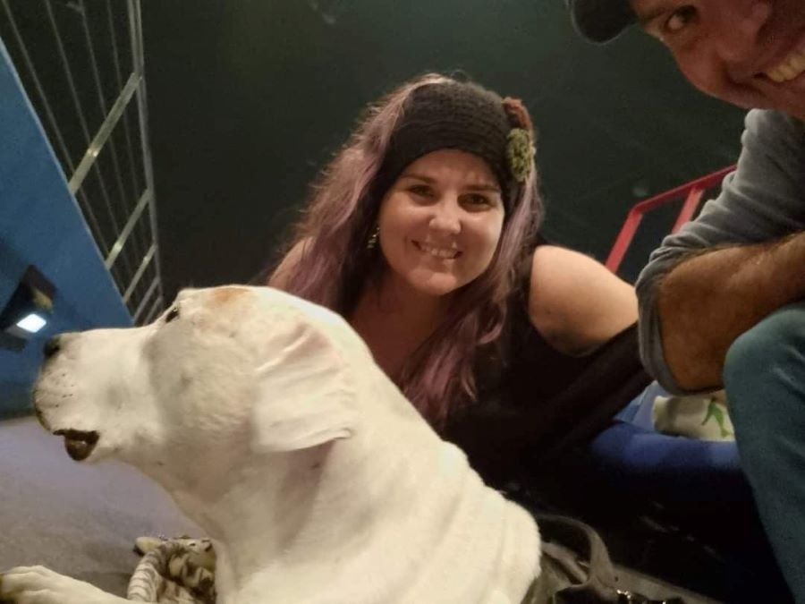 Falkor the rescue dog is proof second chances do exist