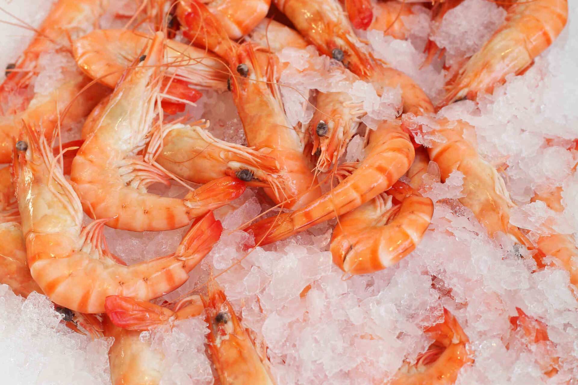 What to expect when shelling out for Christmas prawns