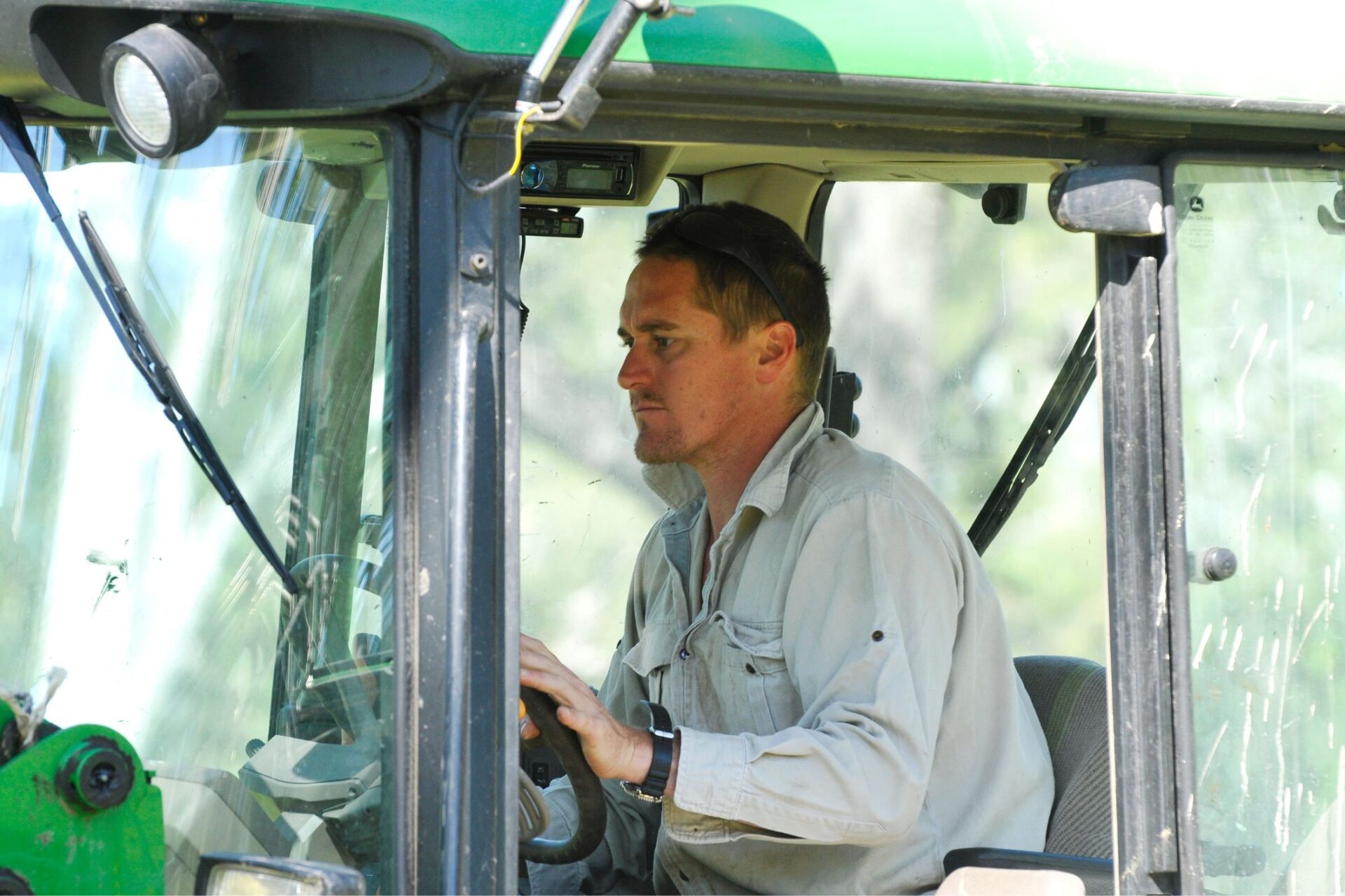 How sanctuary is fighting back against notorious weed