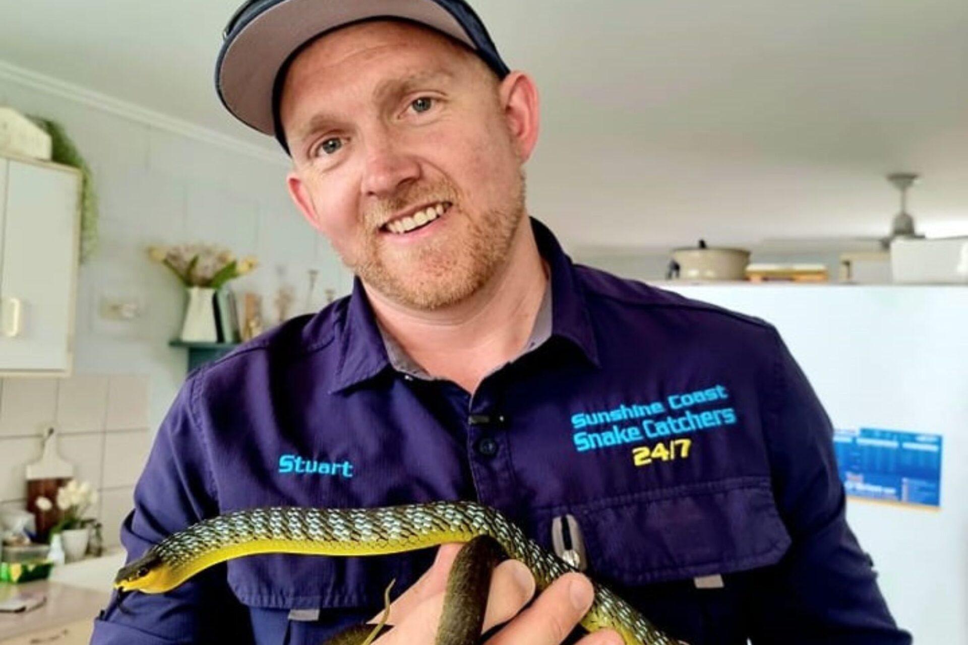 Behind microwaves, under beds: snake catchers kept busy