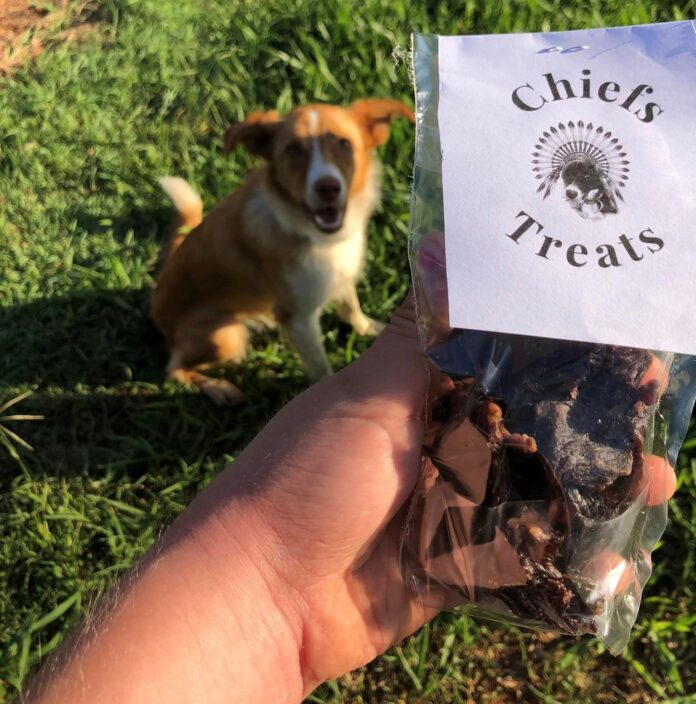 13yo starts clever business to honour beloved late dog