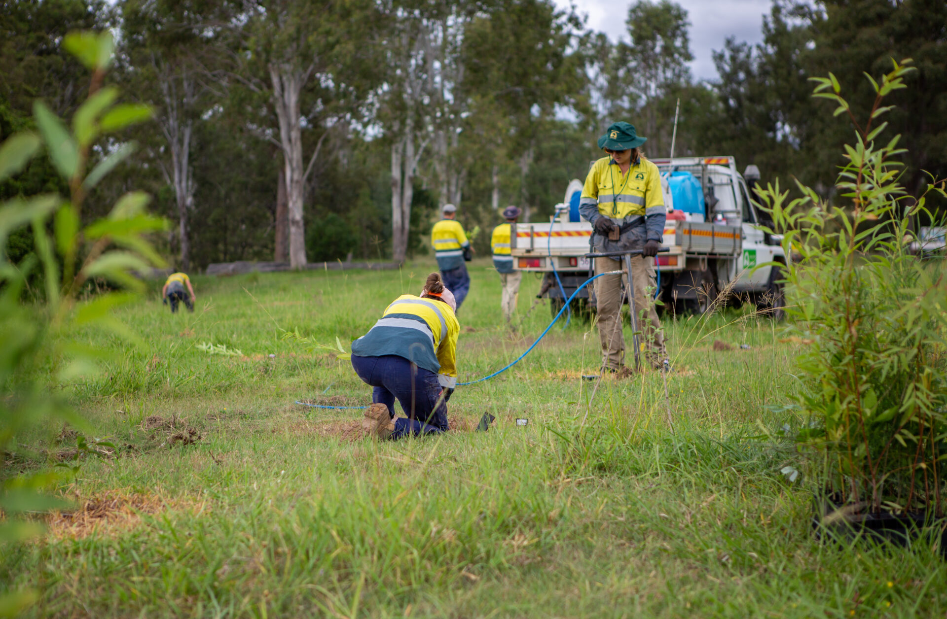 Landcare group tasked with planting 100,000 trees