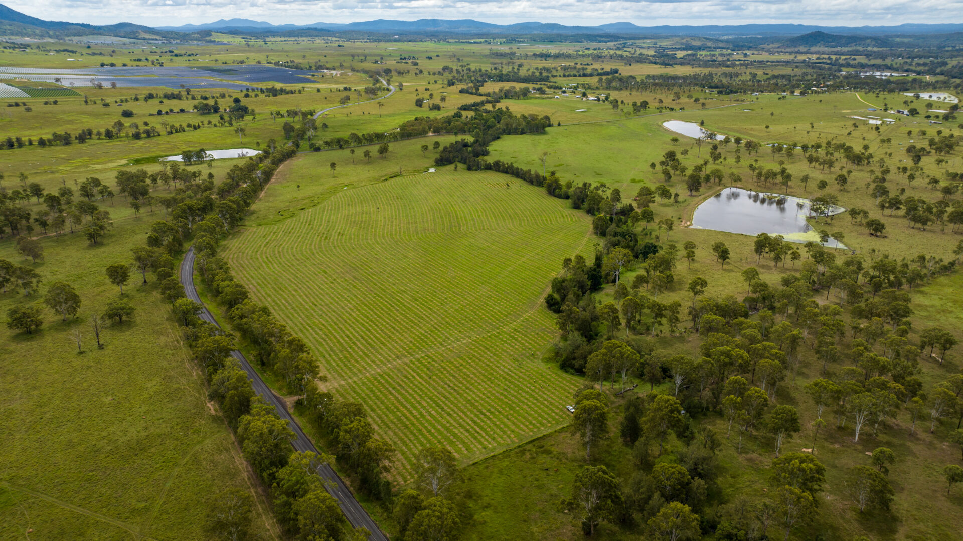 Landcare group tasked with planting 100,000 trees