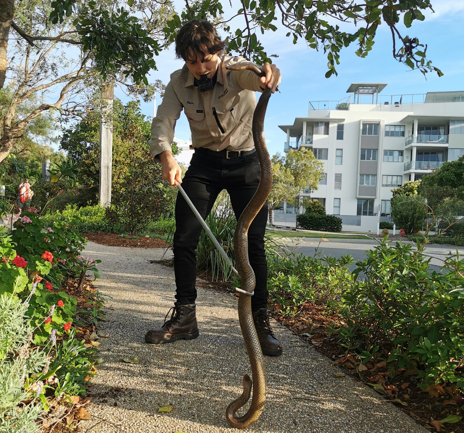 Young snake-catching couple's unique love ssstory