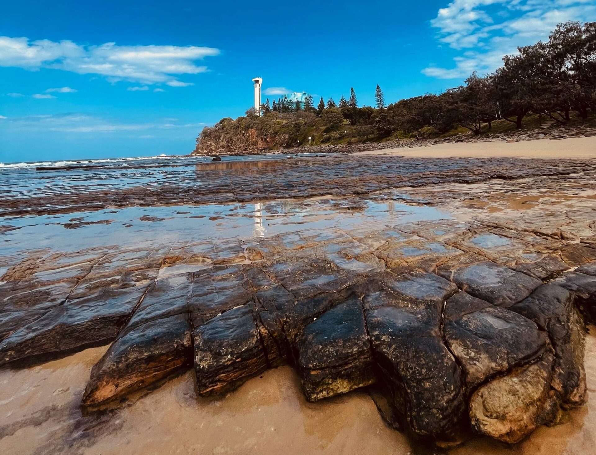 Photo of the day: perfection at the point