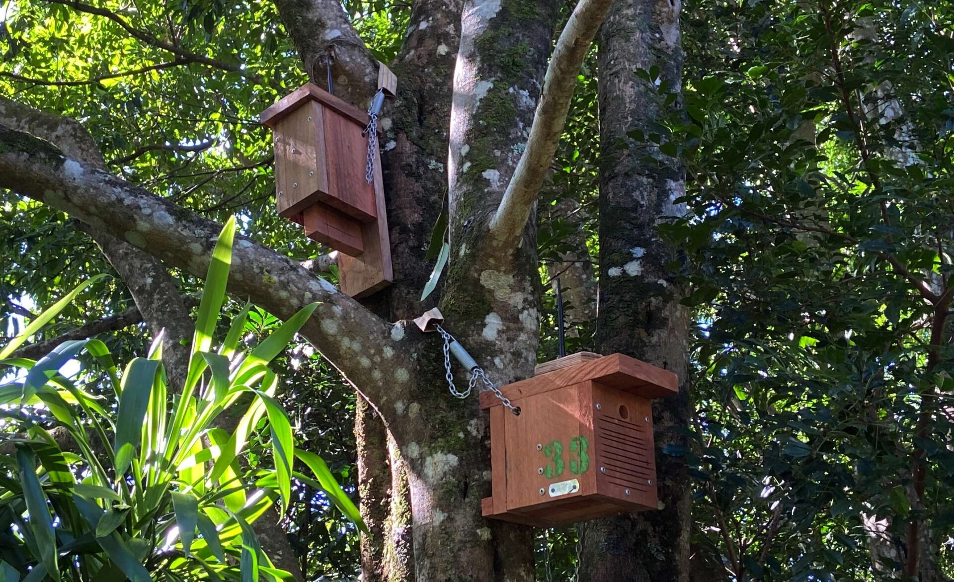 High-tech treehouses to help save wildlife