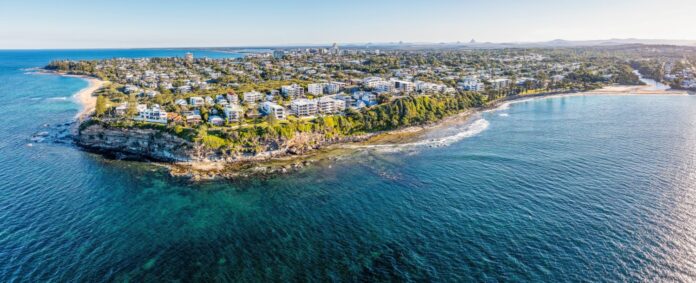 'Very irritating': notorious itchy bomb tree removed