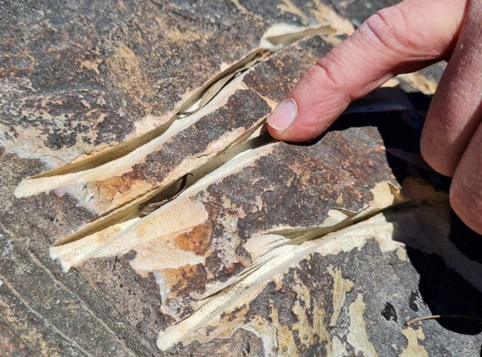 See the video: ‘Appalling’ graffiti cut into iconic landmark