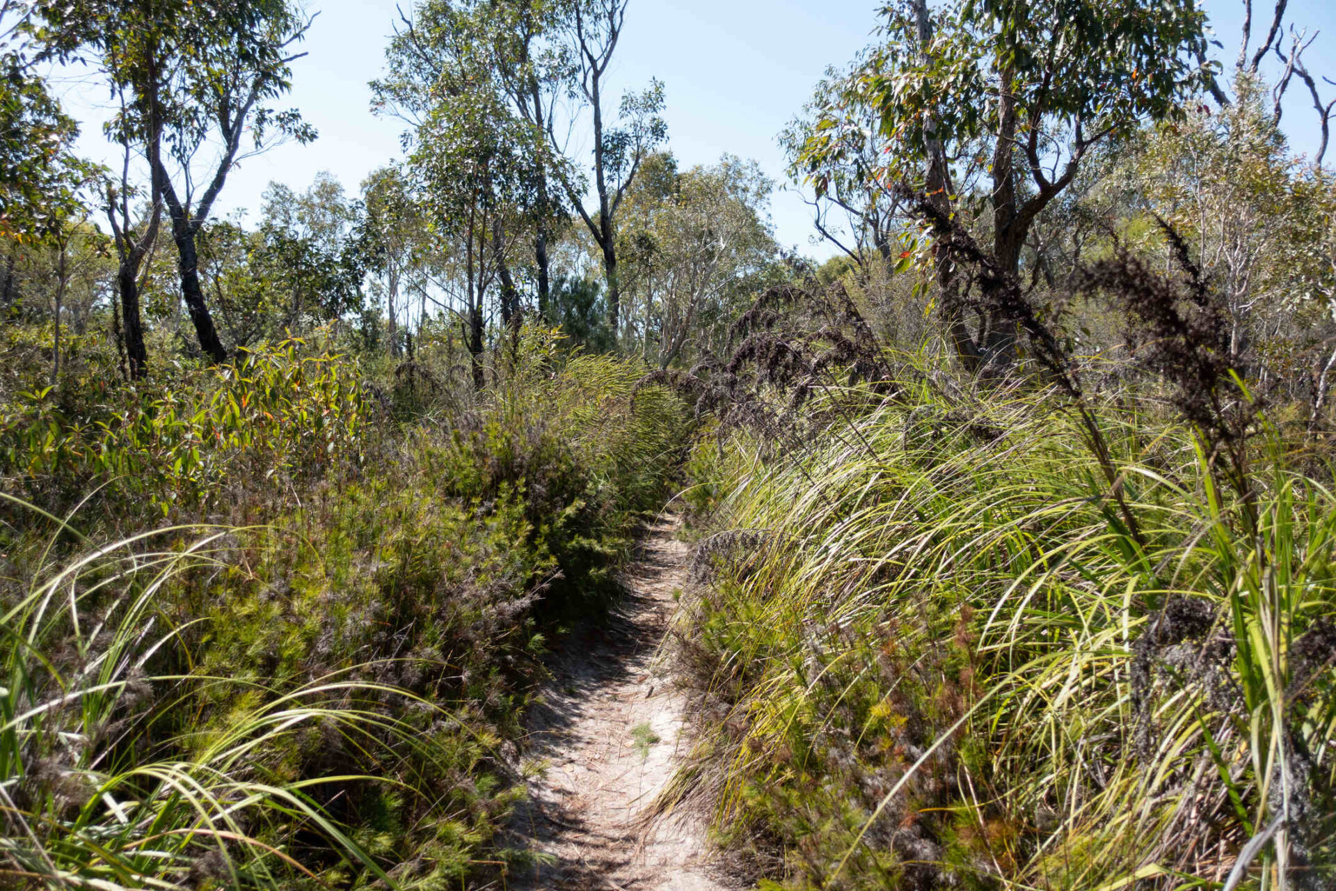 Bold ecotourism project on track but final details yet to be revealed