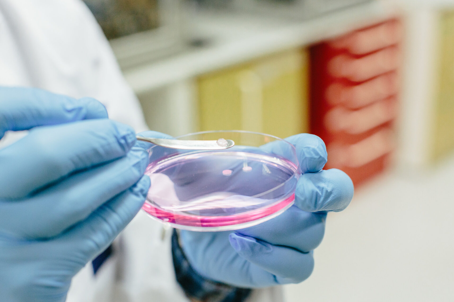 Biotech boom: region emerging as hub for sector