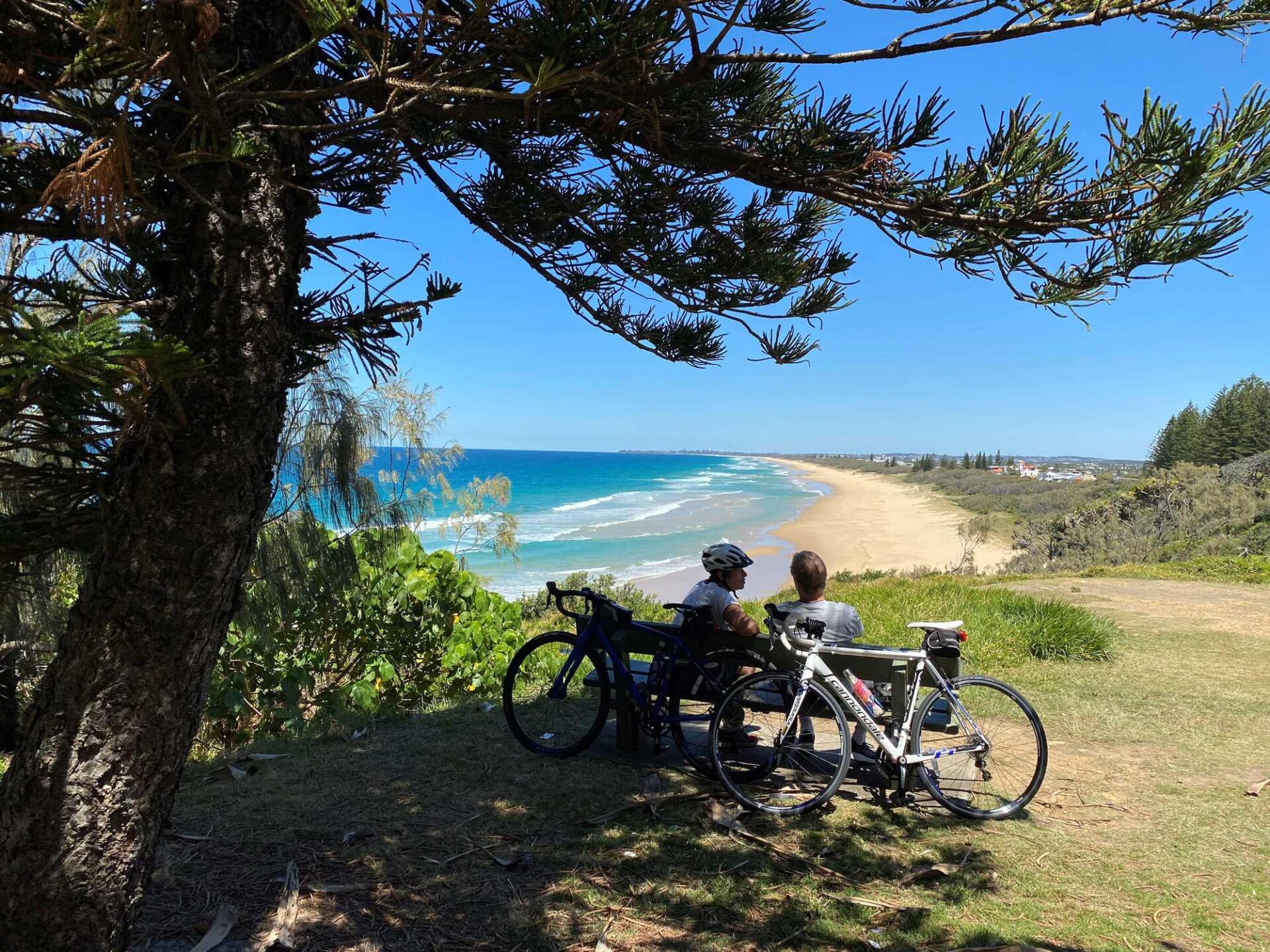 Green light for gallery vision and Point Cartwright plan