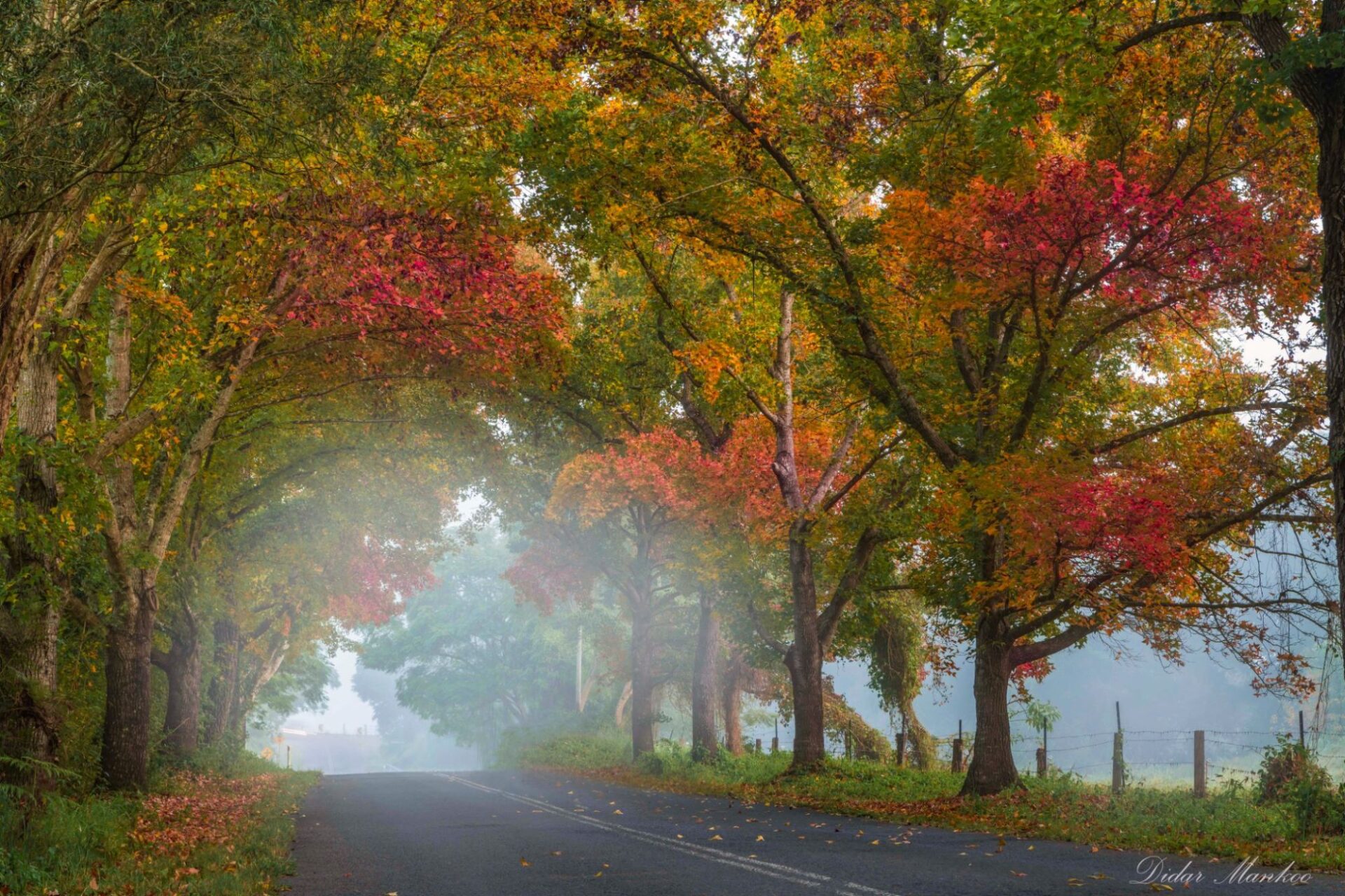 The hinterland avenue photographers flock to shoot