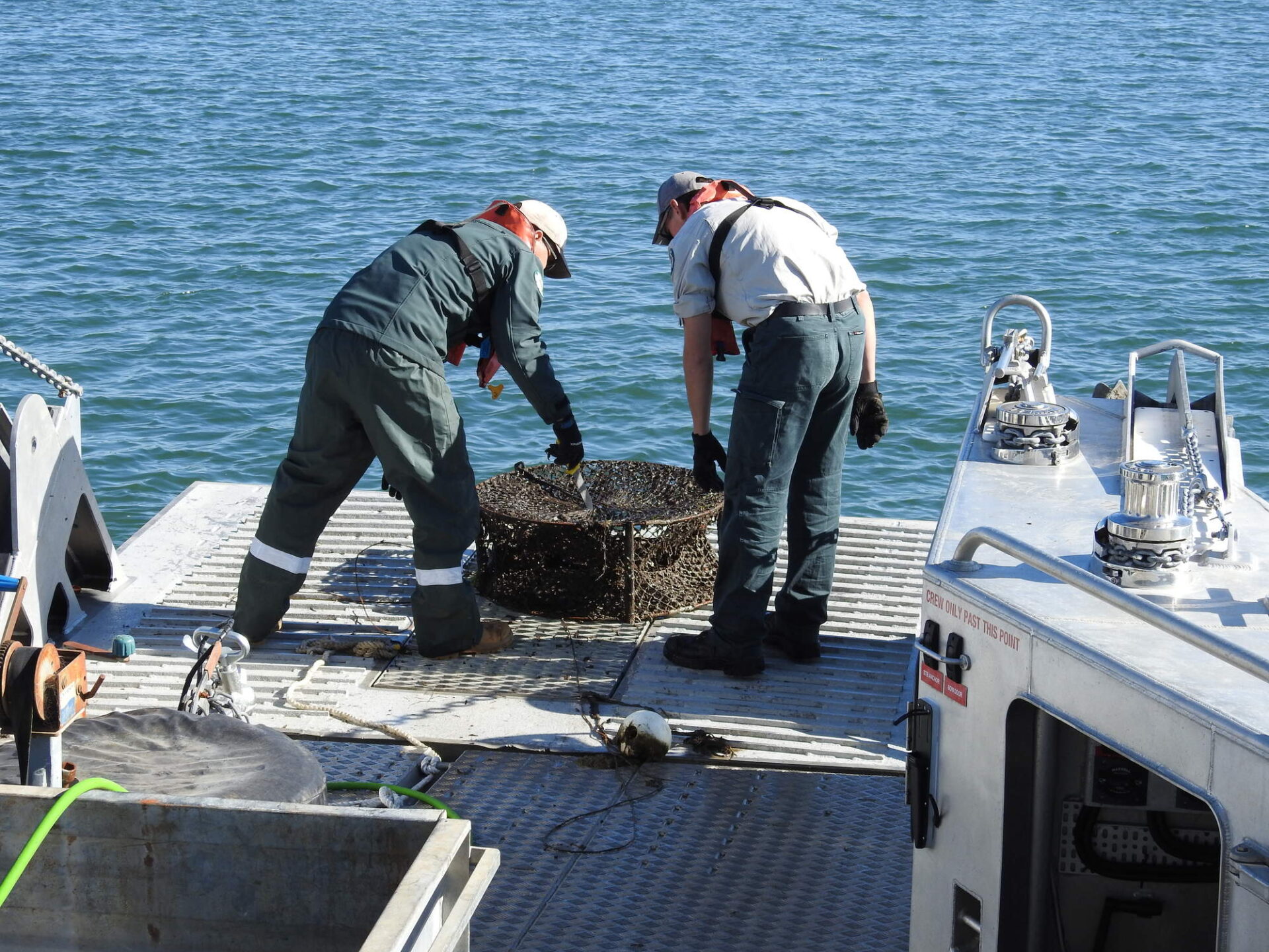 Scores of illegal crab pots removed from waterway