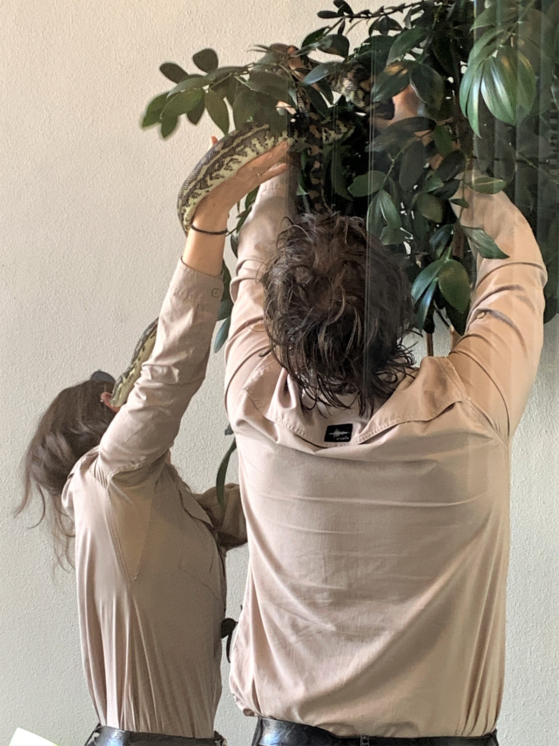 'Chilled out': sssurprise guest found hiding at RSL