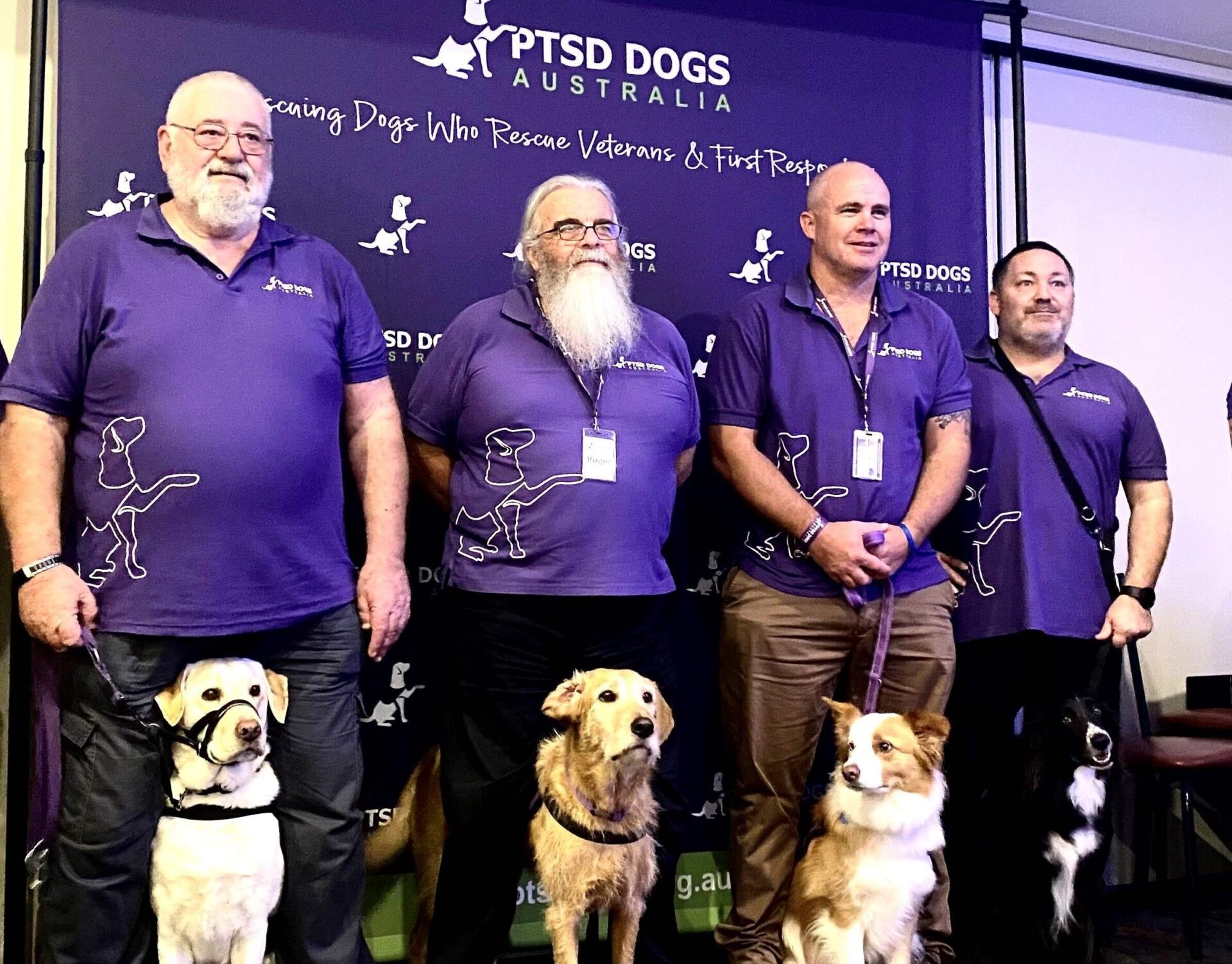 Devoted dogs ready to help PTSD sufferers