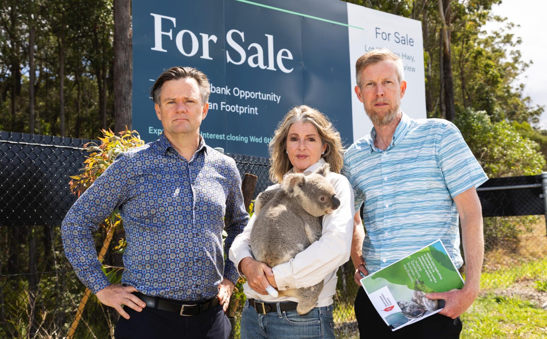 Koalas' existence threatened by urban sprawl: report