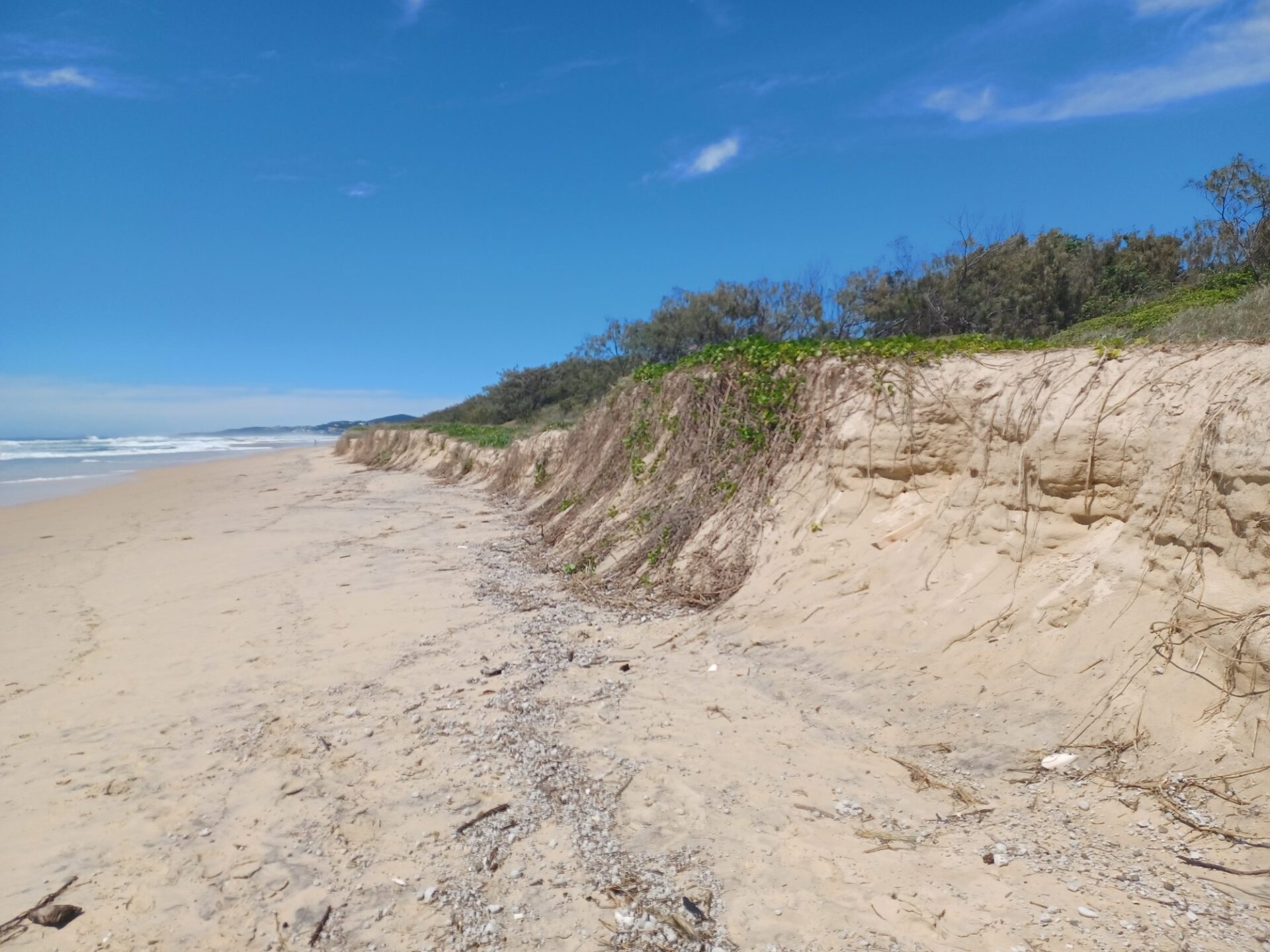 El Nino could help beaches bounce back