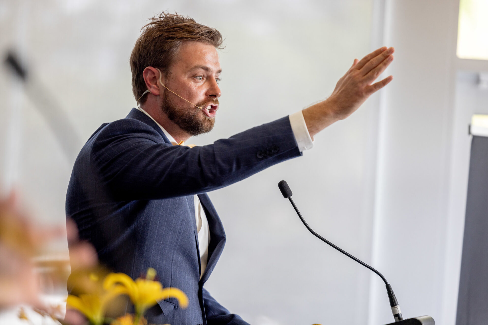 Monster $27m auction: 'dream block' amid properties sold