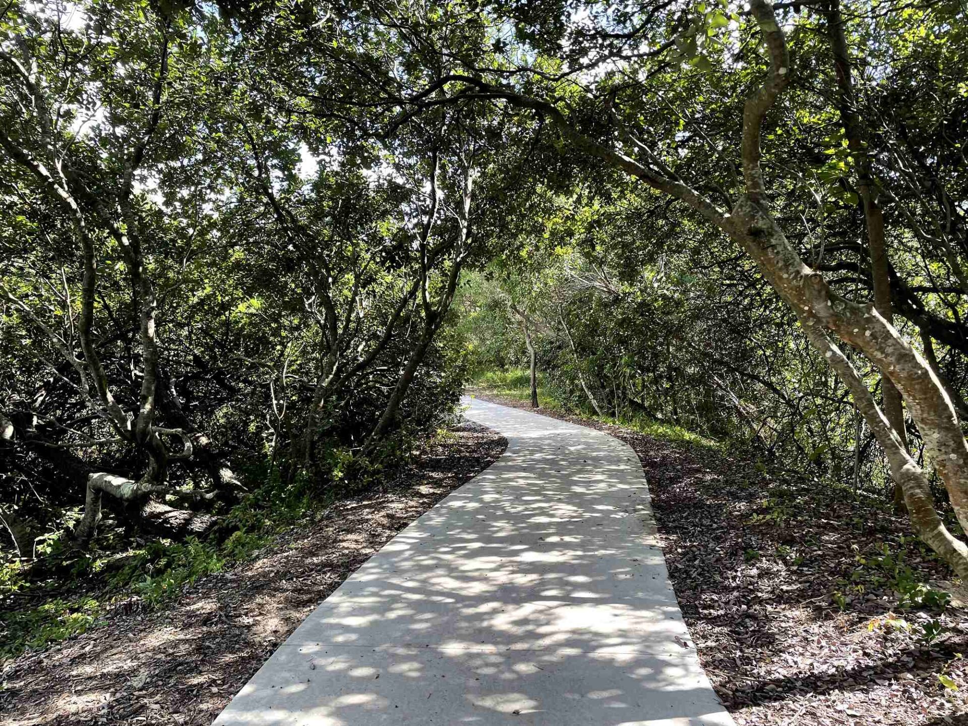 Next big step for Coastal Pathway: work starts on key section