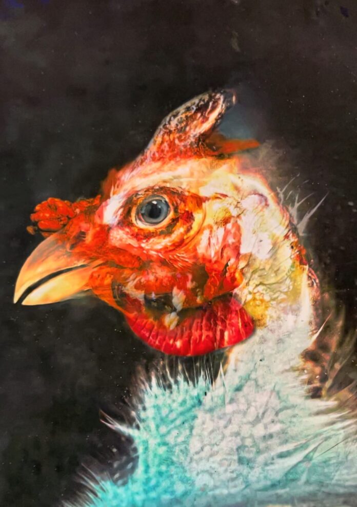 'Truly special piece' claims $25k art prize