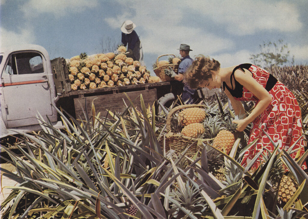 Remembering a sweet slice of Coast history