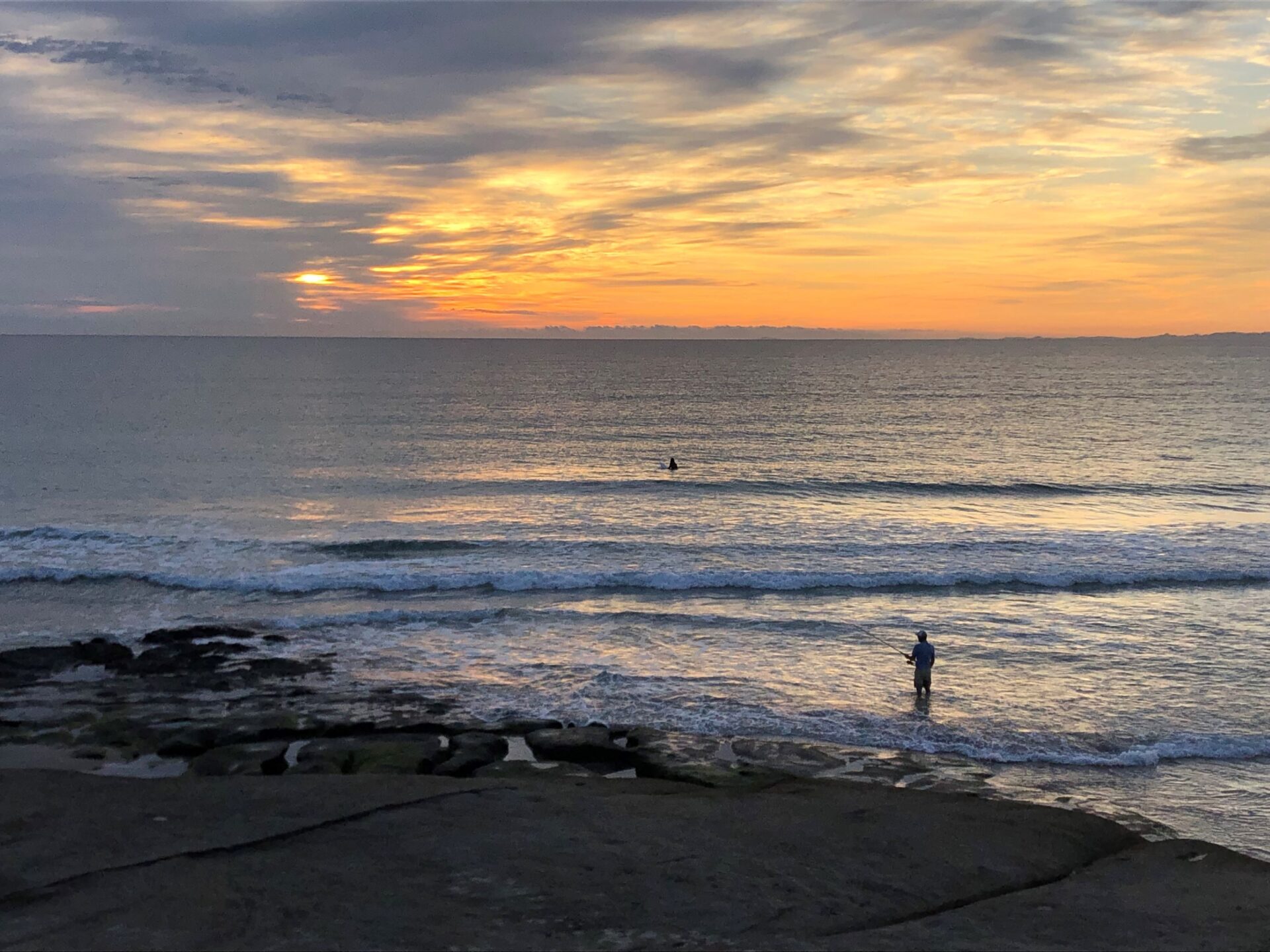 Photo of the day: early risers