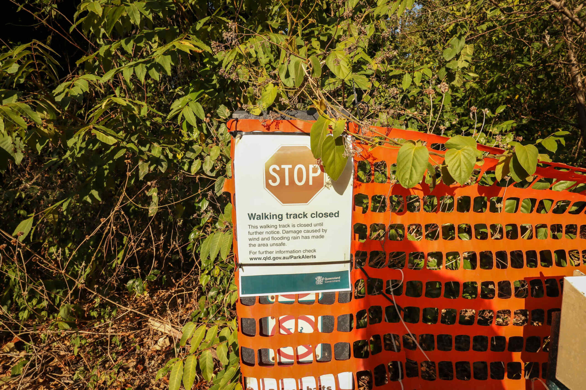 Parks visitors risk lives for social media