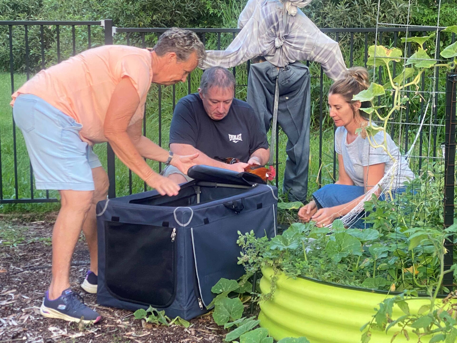 Time comes for kids' good lookin' rooster to move on