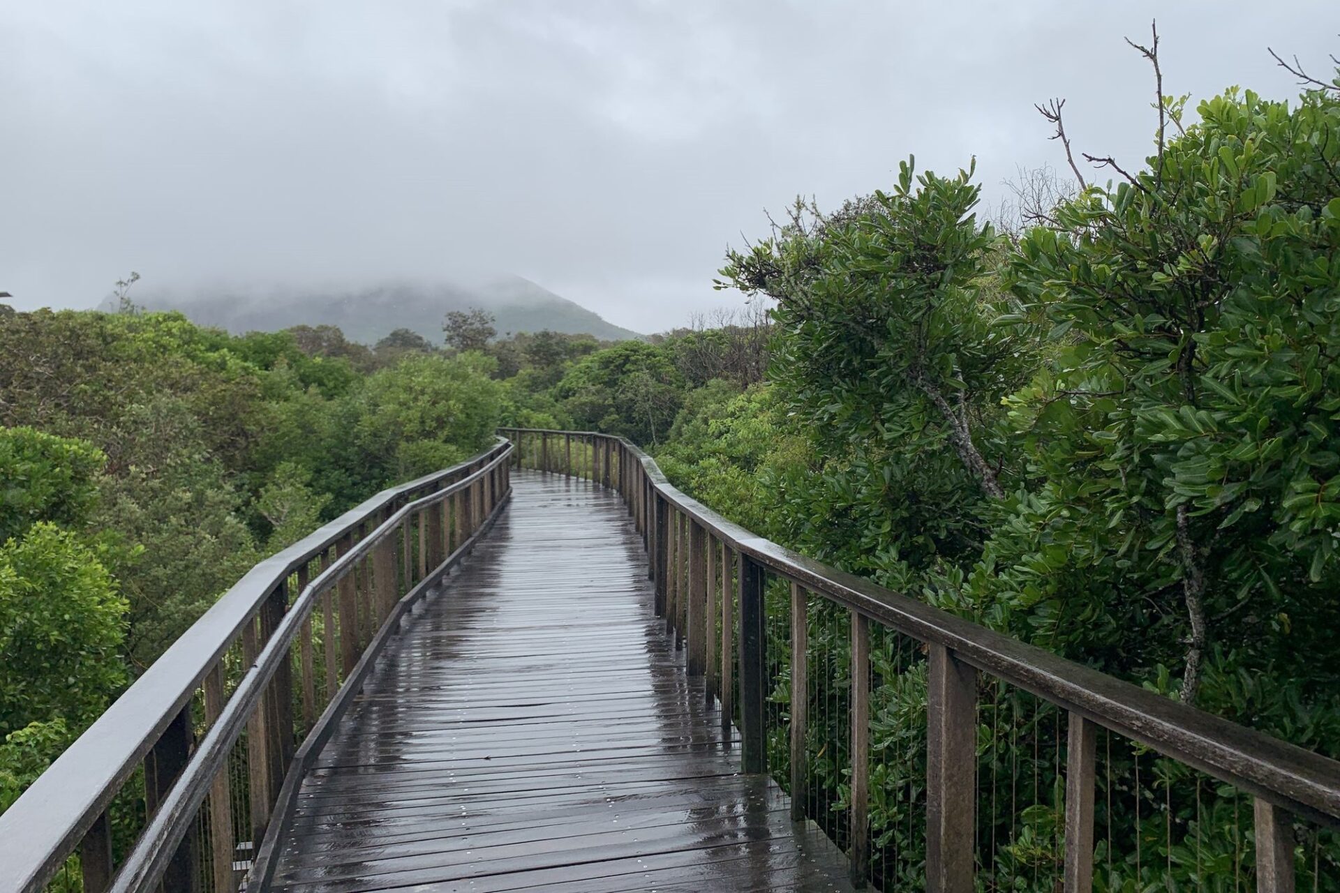 Photo of the day: drizzly morning