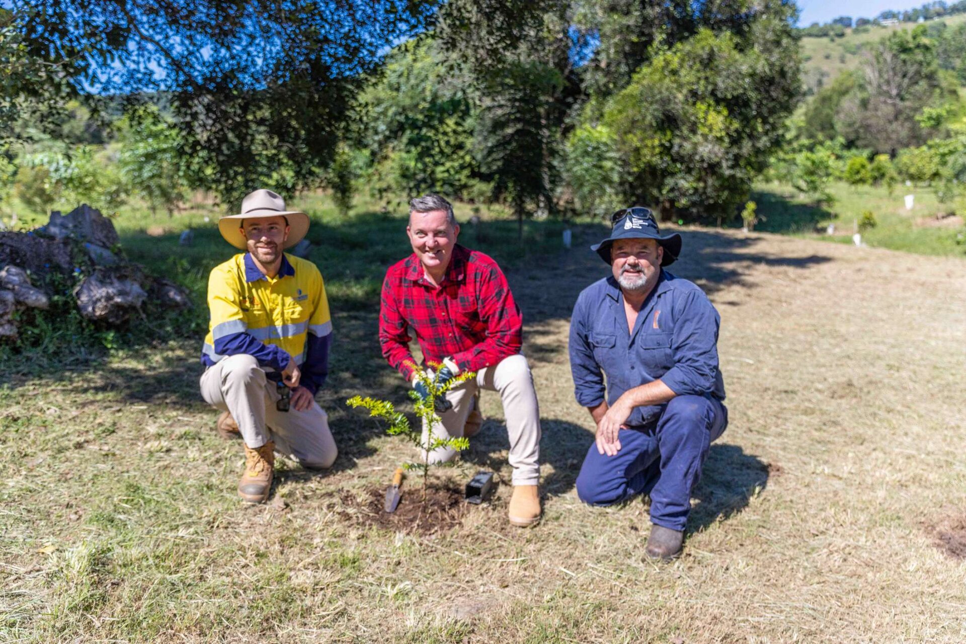 Mass tree planting protects environment and water quality