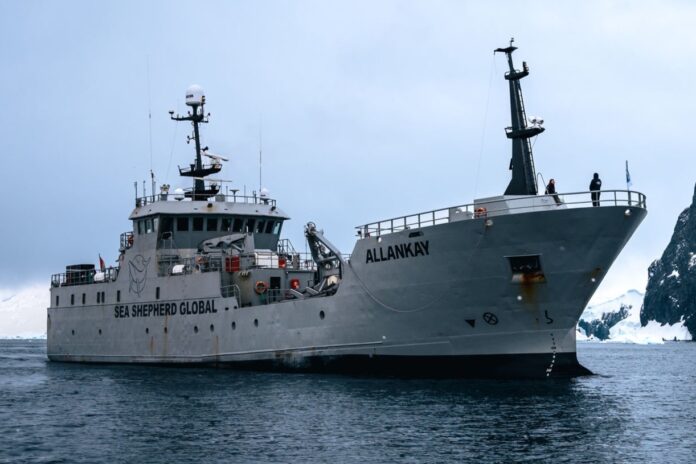 Ahoy! Ship spotters relish rare sightings