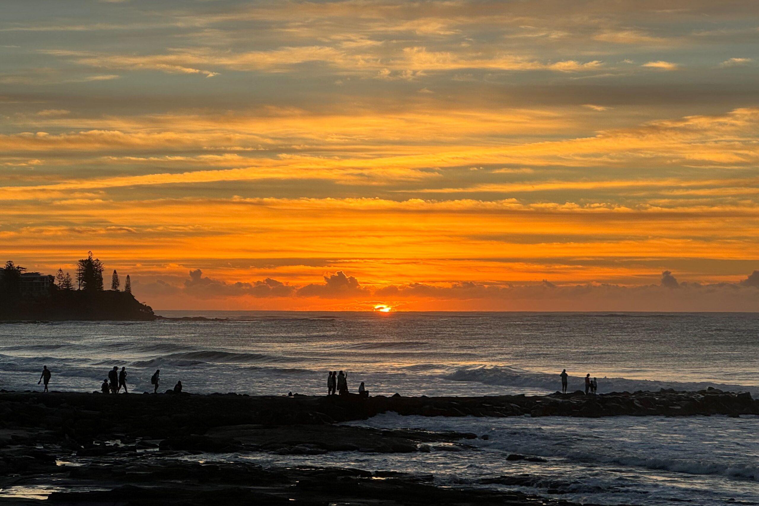 Photo of the day: important day