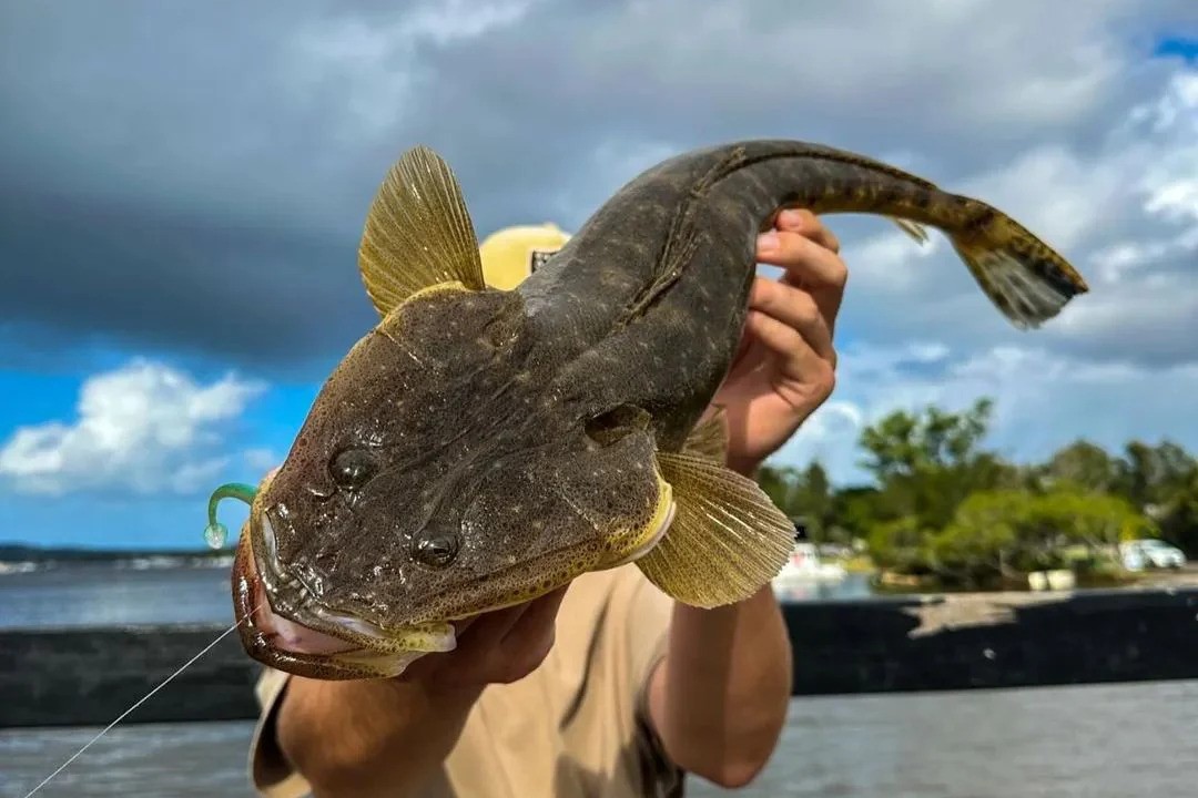 Fishing report: a wet one but fish will still be biting