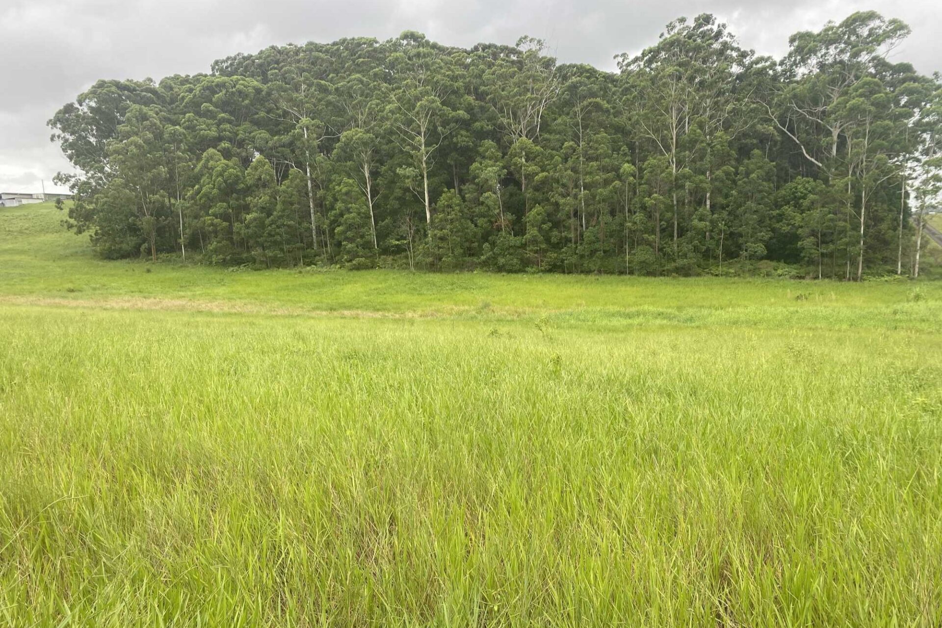 Why council has sat on 100ha of land for a decade