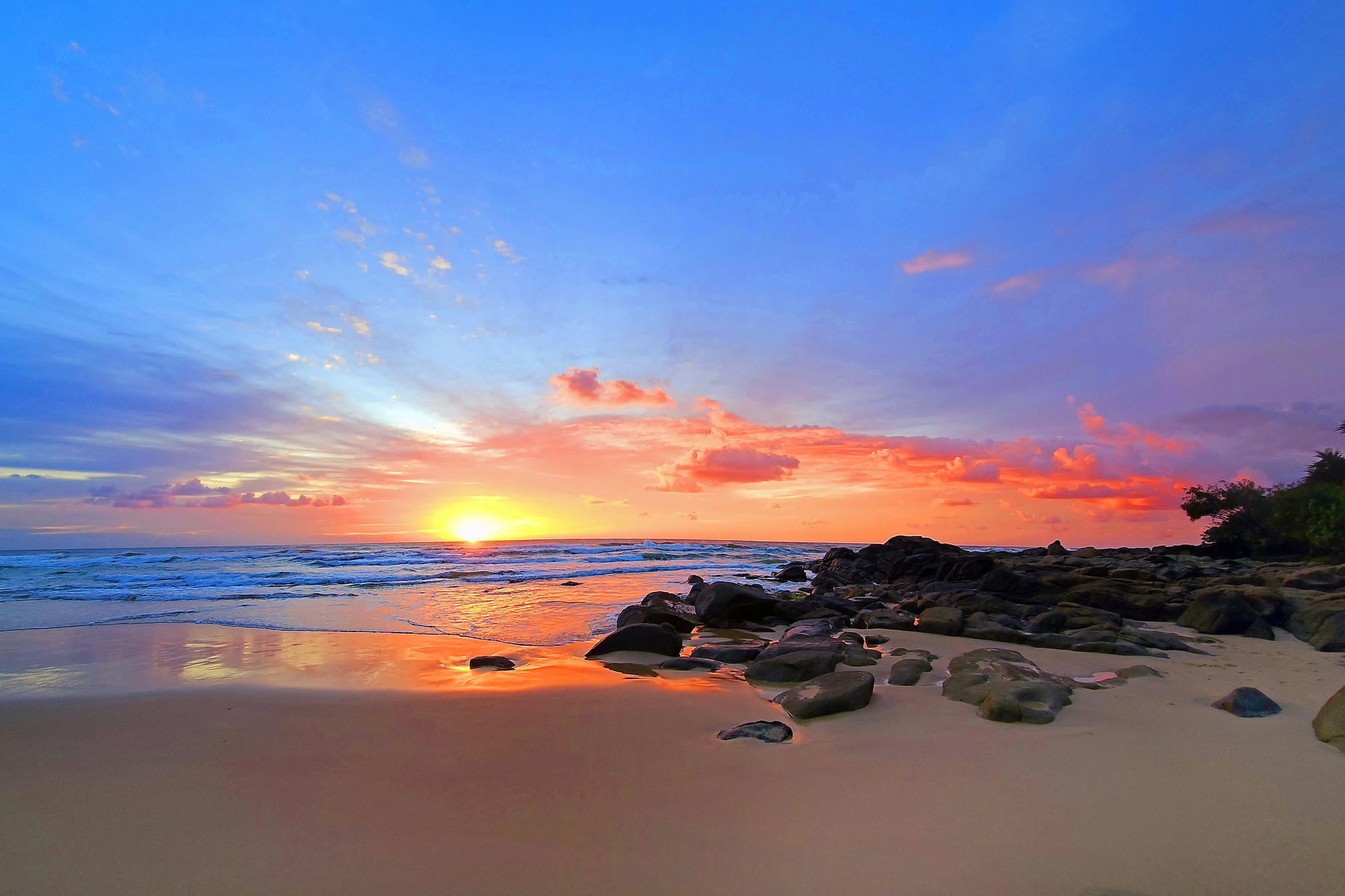 Photo of the day: rise and shine