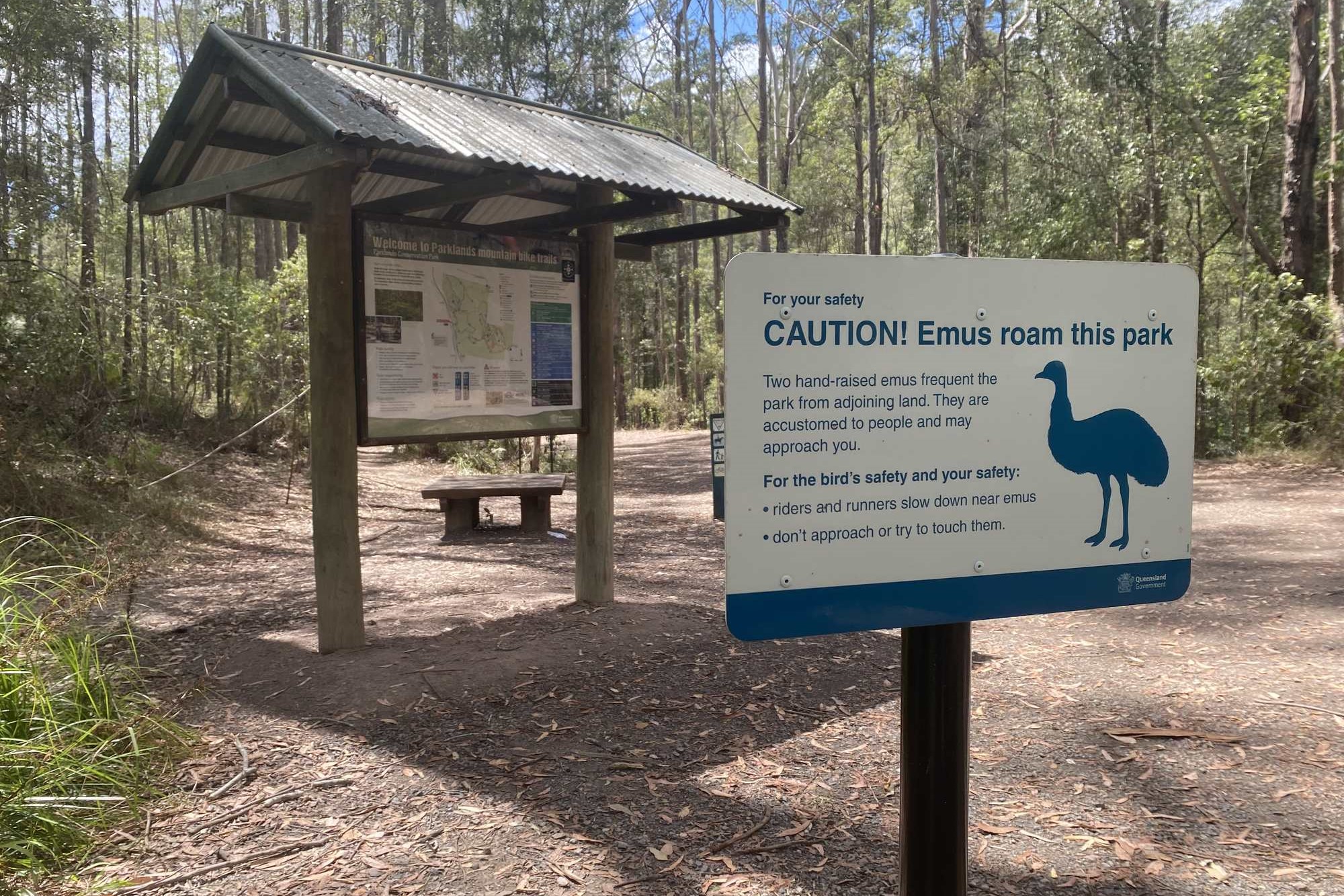 Rangers consider options after reported emu attack