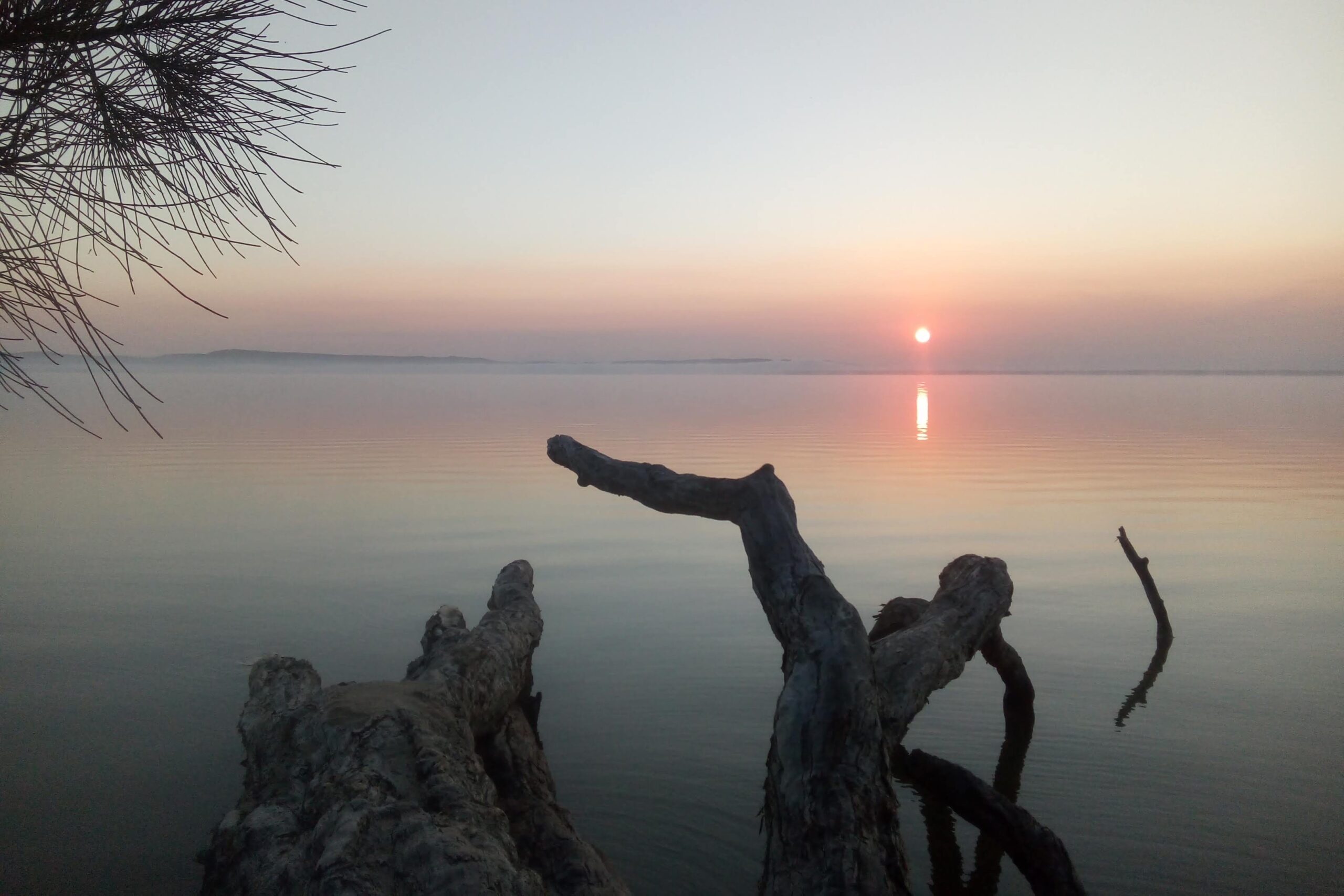 Photo of the day: reflecting sun