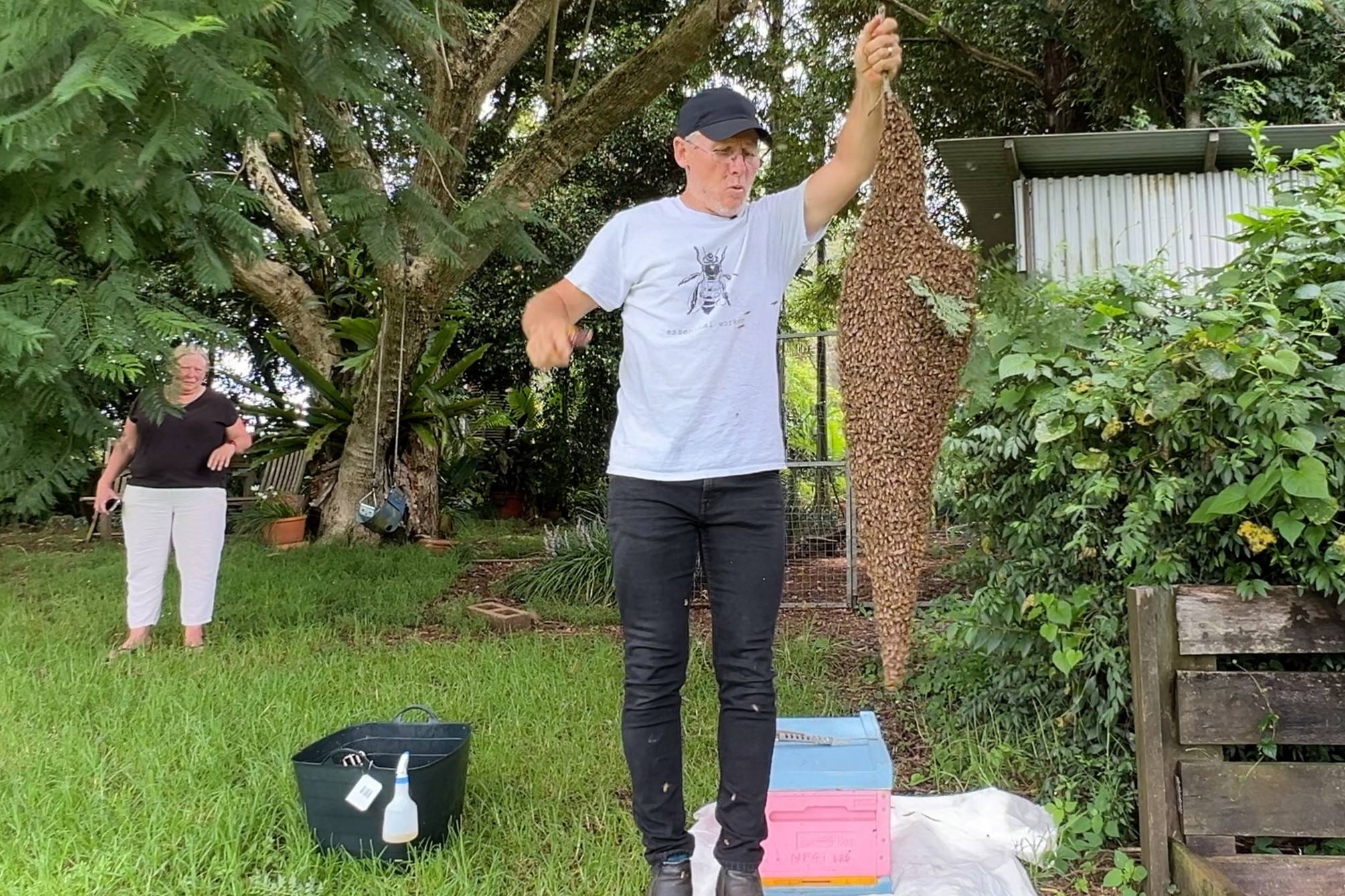 Unbeelievable scenes: swarms make themselves at home