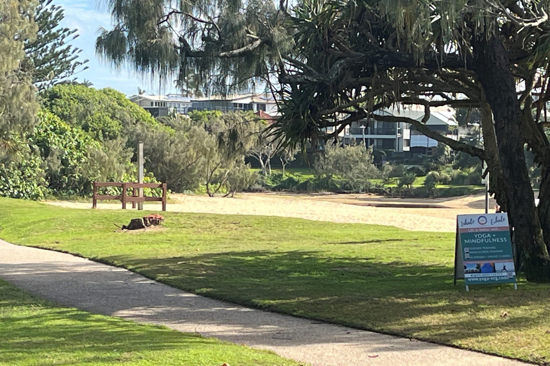 ‘Chopped to a stump’: beachside tree disappears without warning