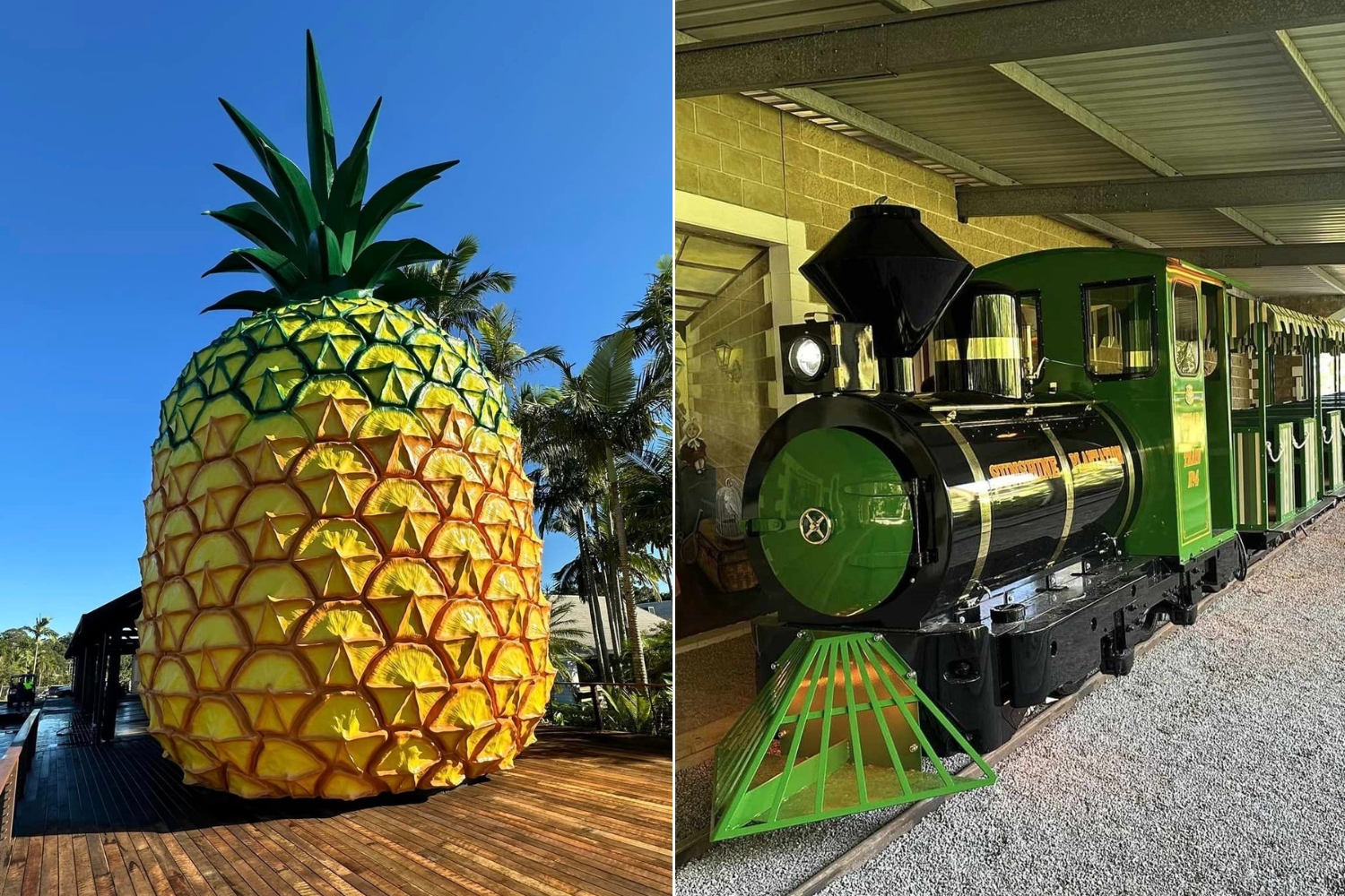 Back on track: Big Pineapple officially reopens