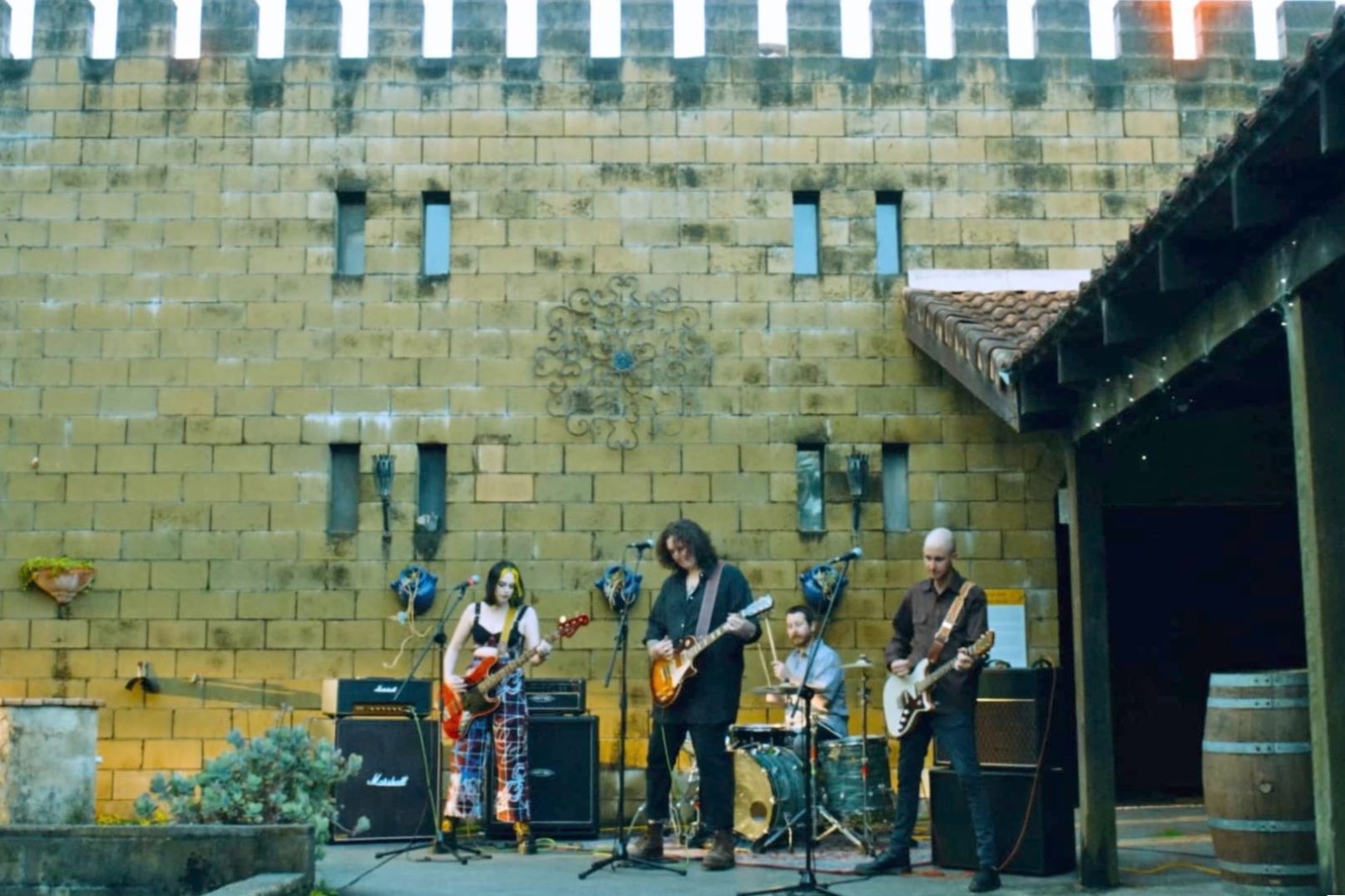 Castle takes starring role in music video