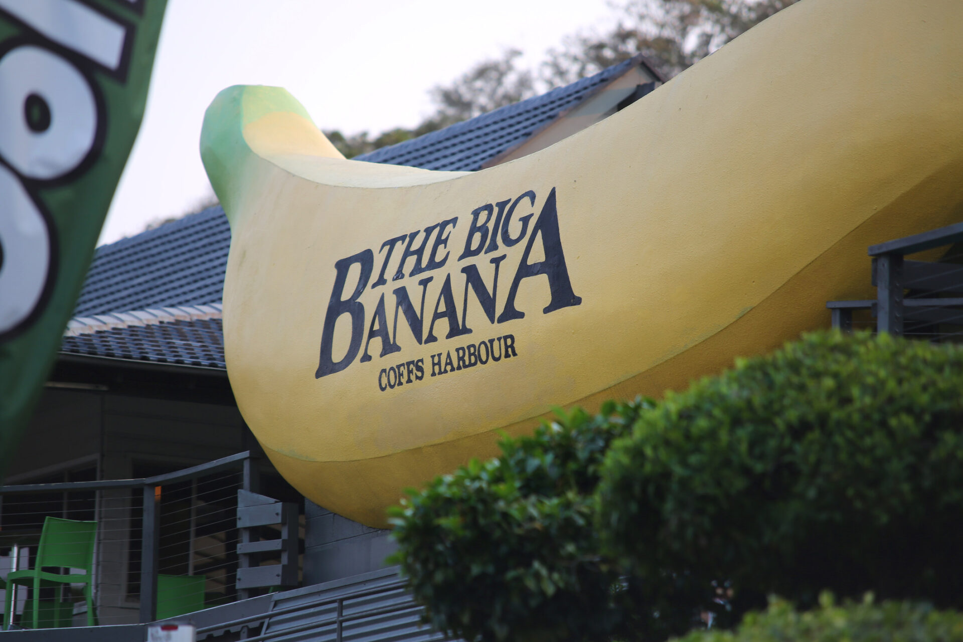 Sami Muirhead: tripping over big things in life