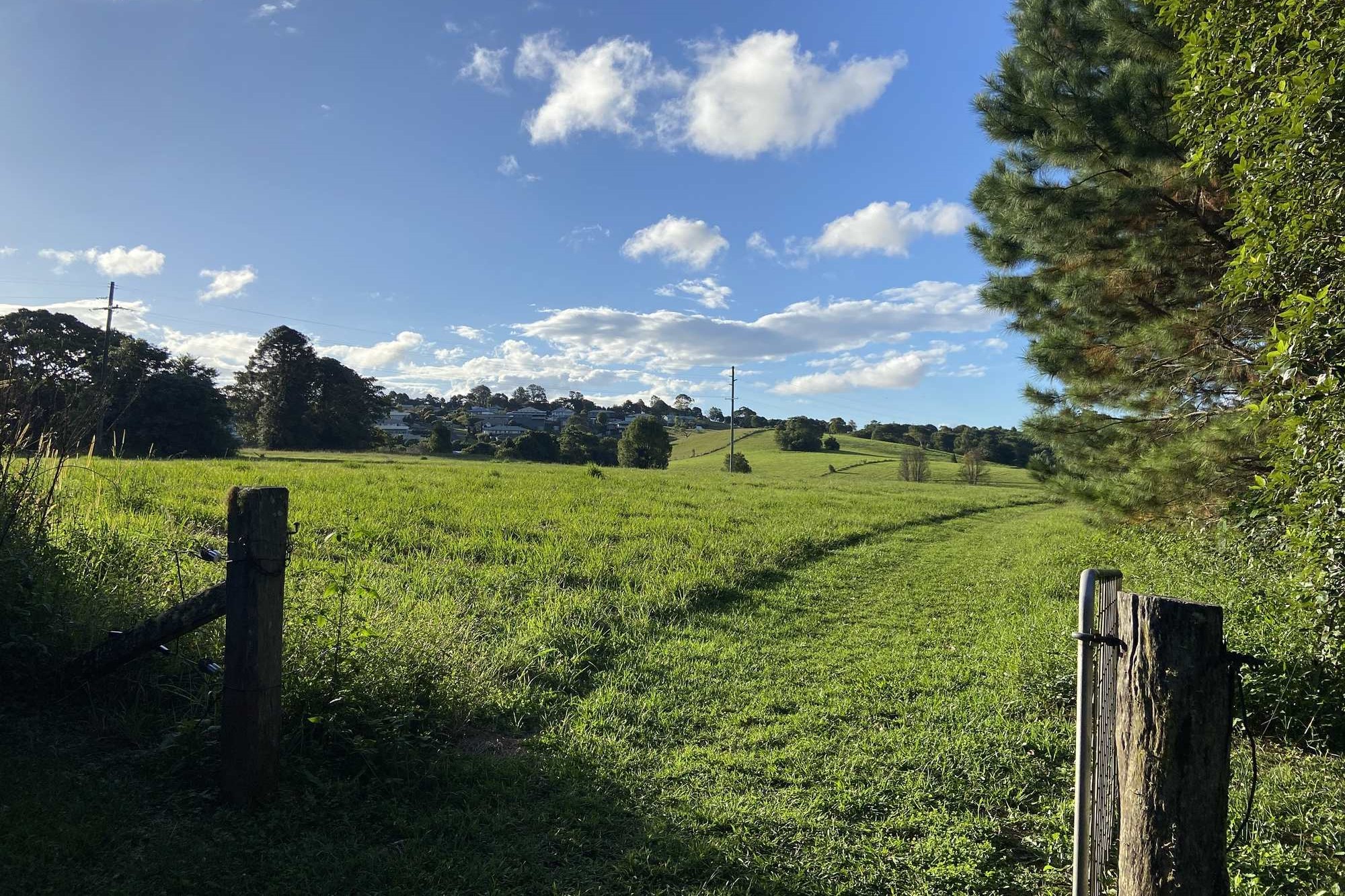 Community to help shape new district park