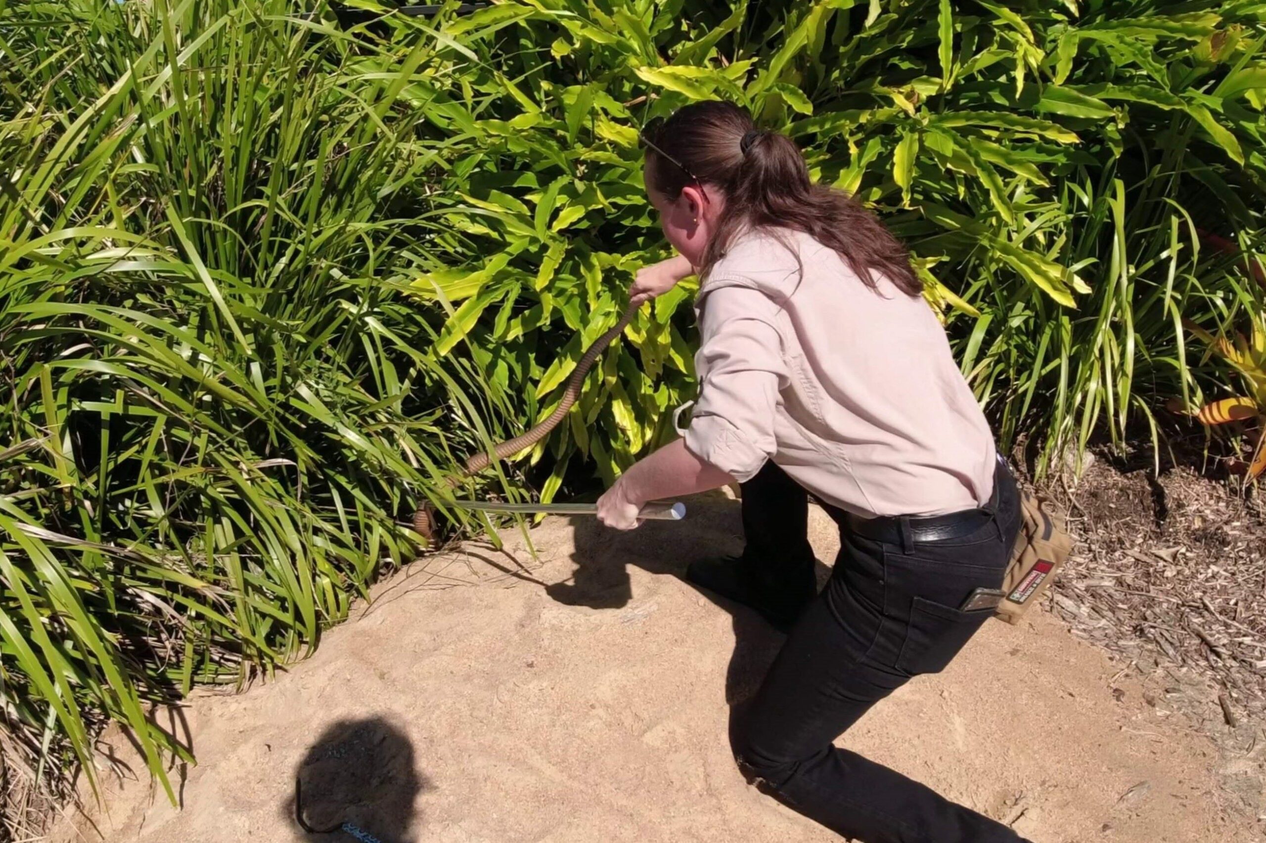 Tee-rifying sight as huge snake found at golf club
