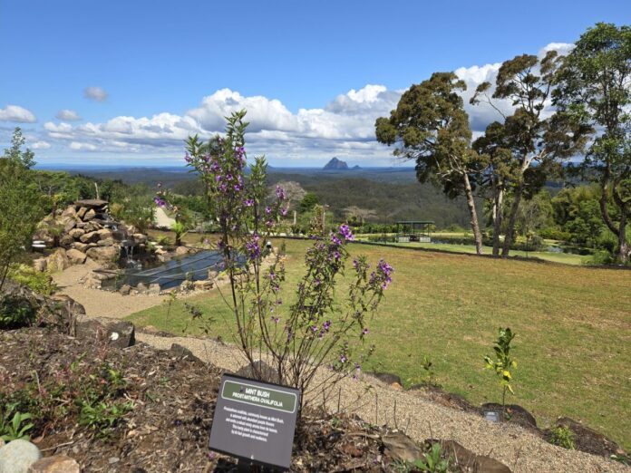 Popular attraction adds bush tucker gardens