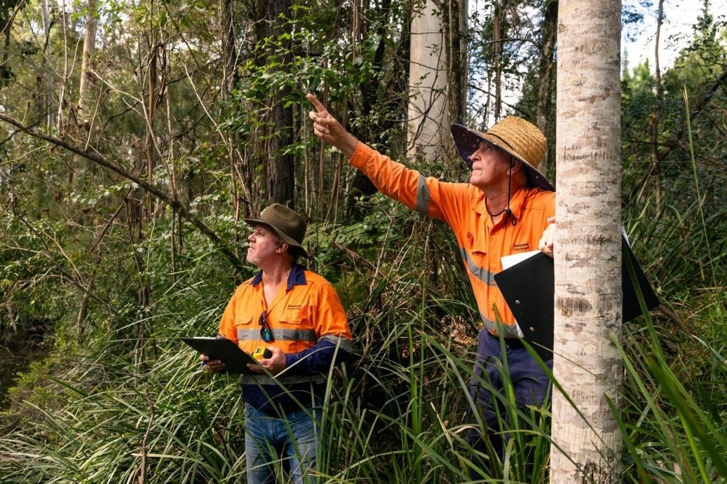 Heavy rail project's 402ha 'disturbance footprint' assessed