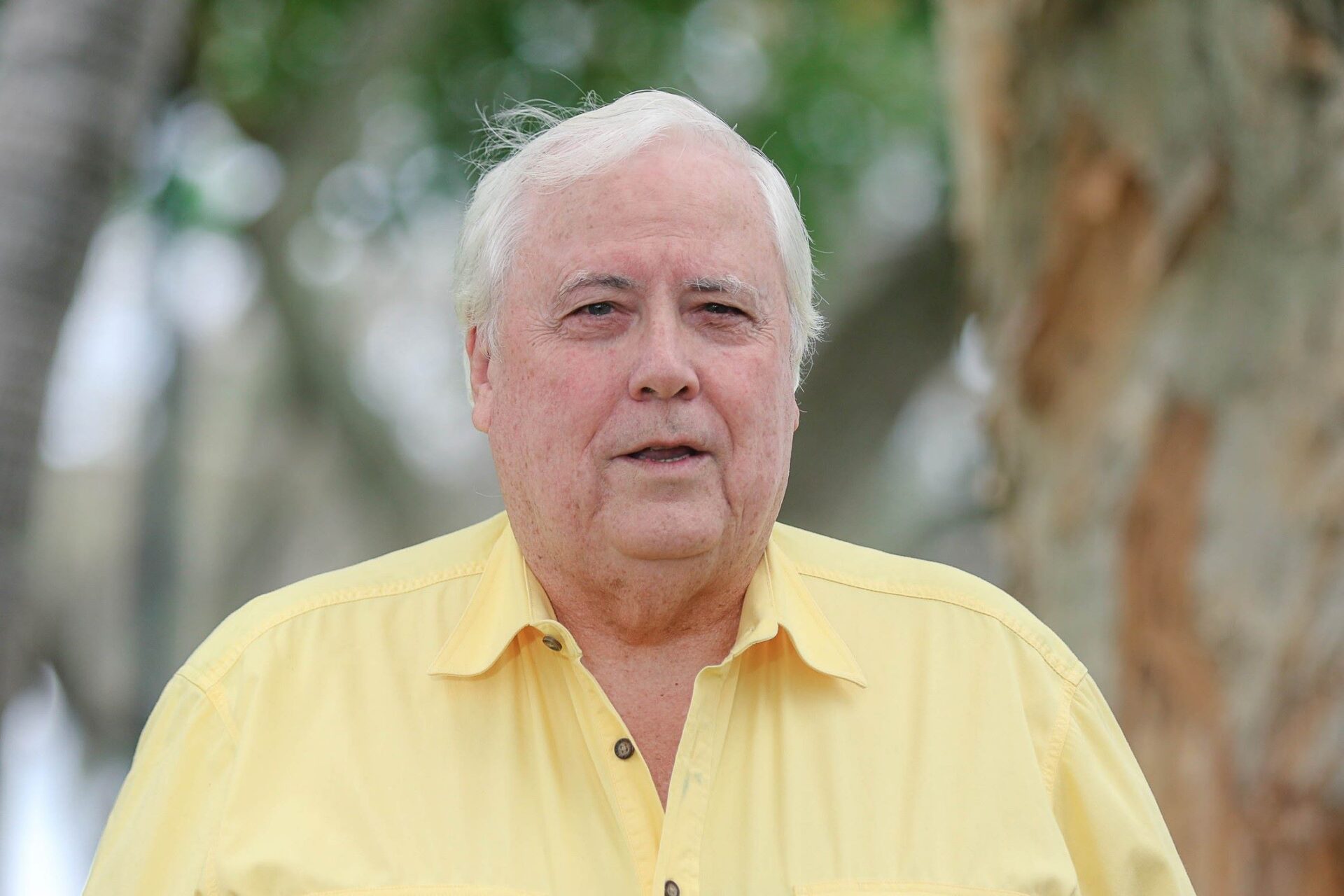 'Always under persecution': Palmer claims court win